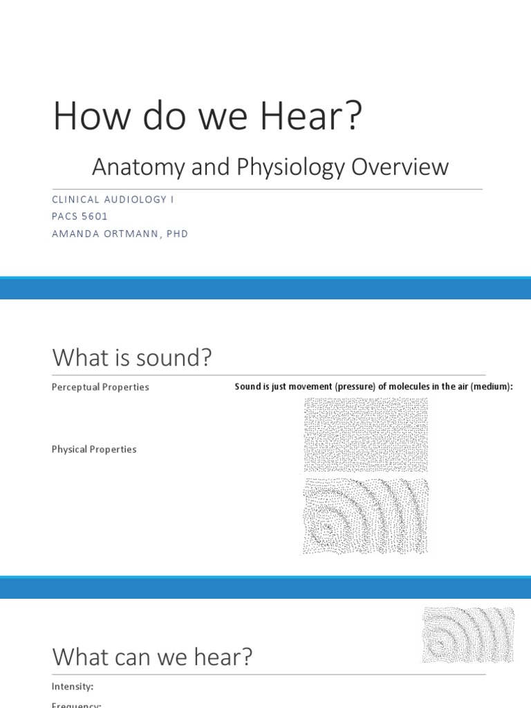 Lecture 2 A + P Overview PDF | PDF | Hearing | Ear