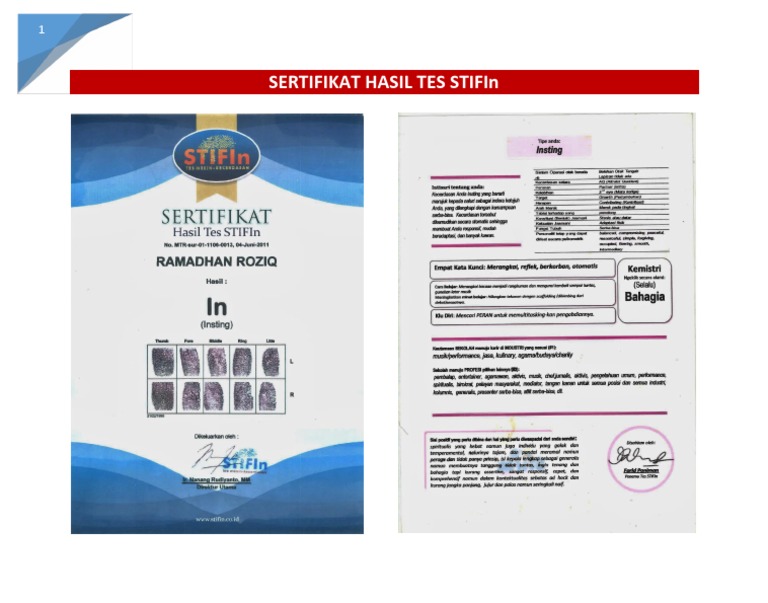 Sertifikat Hasil Tes Stifin | PDF