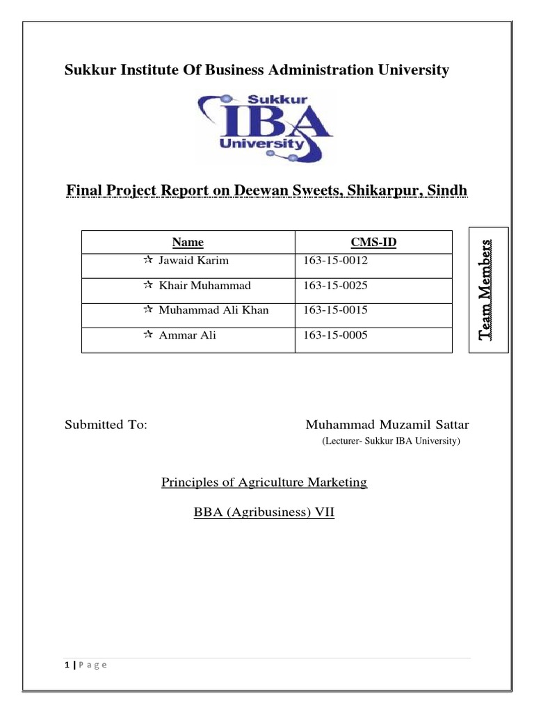 Principle of Marketing - Project On Deewan Sweets, Shikarpur, Sindh ...