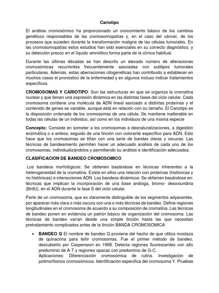 Técnicas de Bandeo | PDF | Cariotipo | Cromosoma