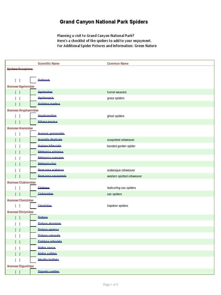 Grand Canyon Spiders | PDF | Arthropods | Chelicerates