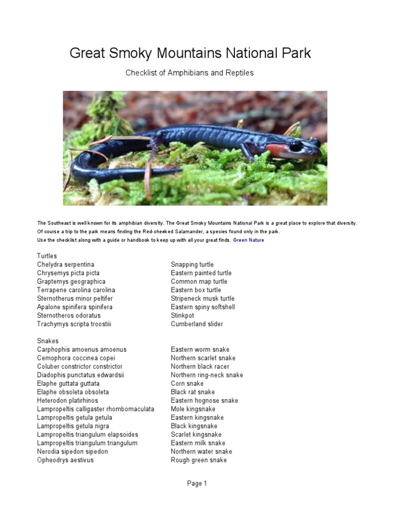 Great Smoky Mountains National Park Amphibians and Reptiles | PDF ...