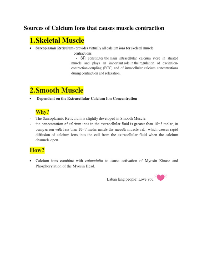 Sources of Calcium Ions That Causes Muscle Contraction | PDF