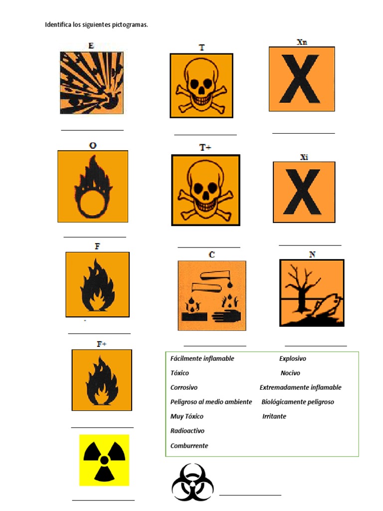 Identifica Los Siguientes Pictogramas | PDF