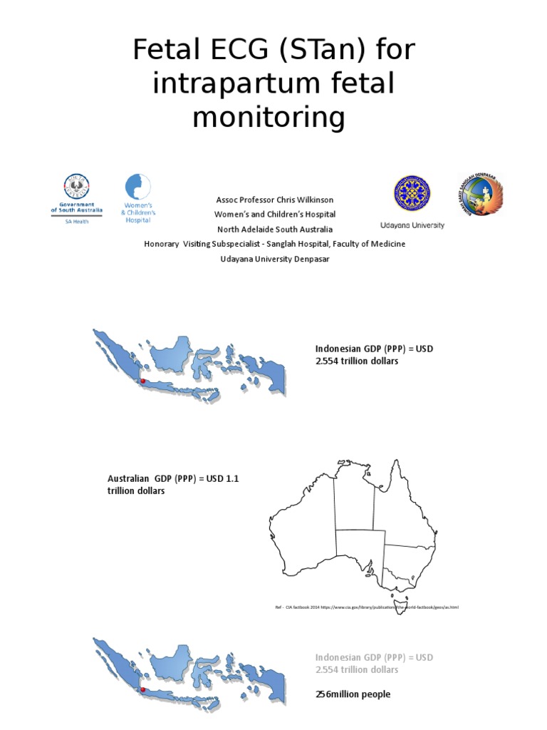 Electronic Fetal Monitoring CTG and STAN | PDF | Electrocardiography ...