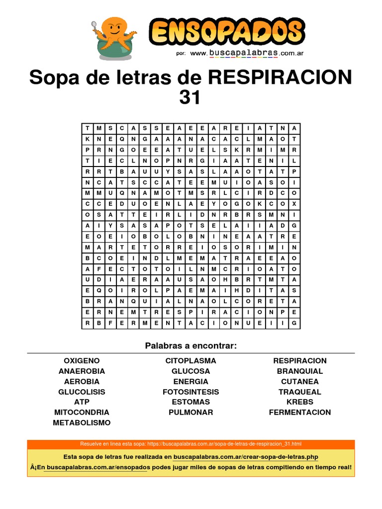 Sopa de Letras de Respiracion 31 | PDF | Ciencia deportiva | Ciencias ...
