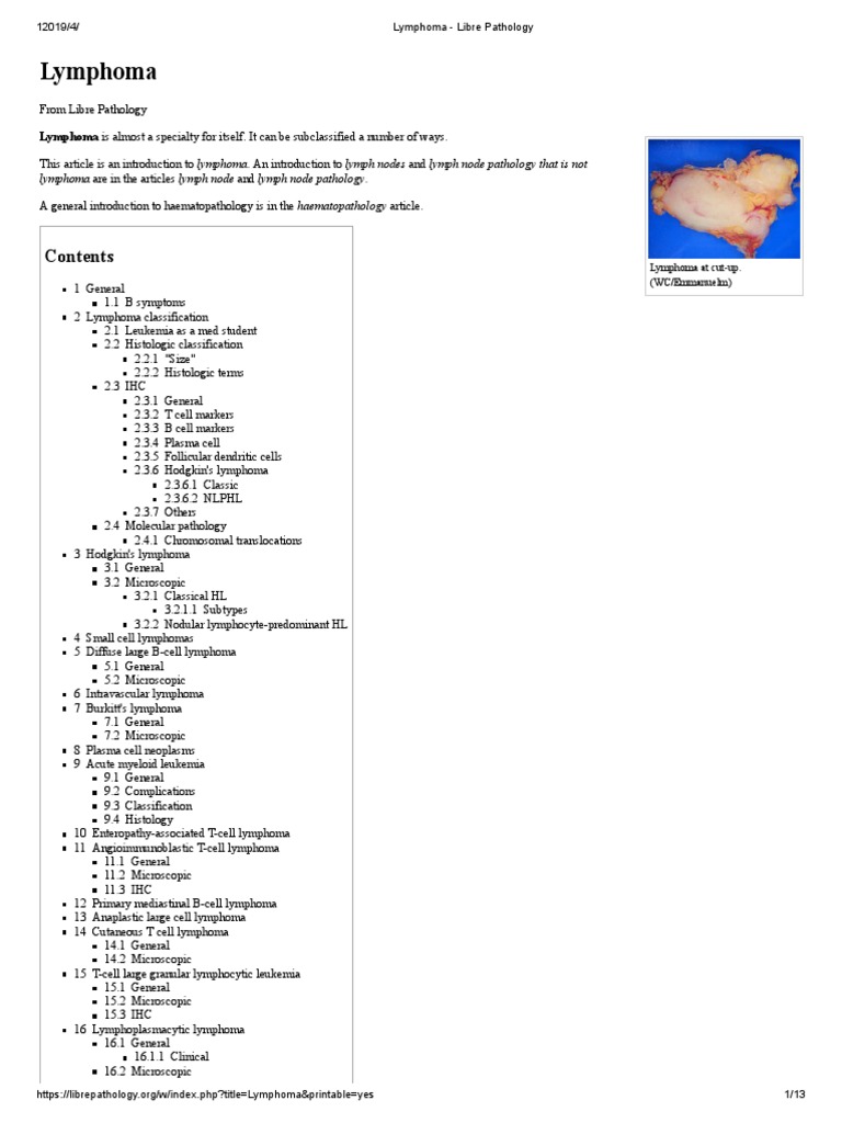 Lymphoma Overview and Classification | PDF | Lymphoma | Lymphatic System