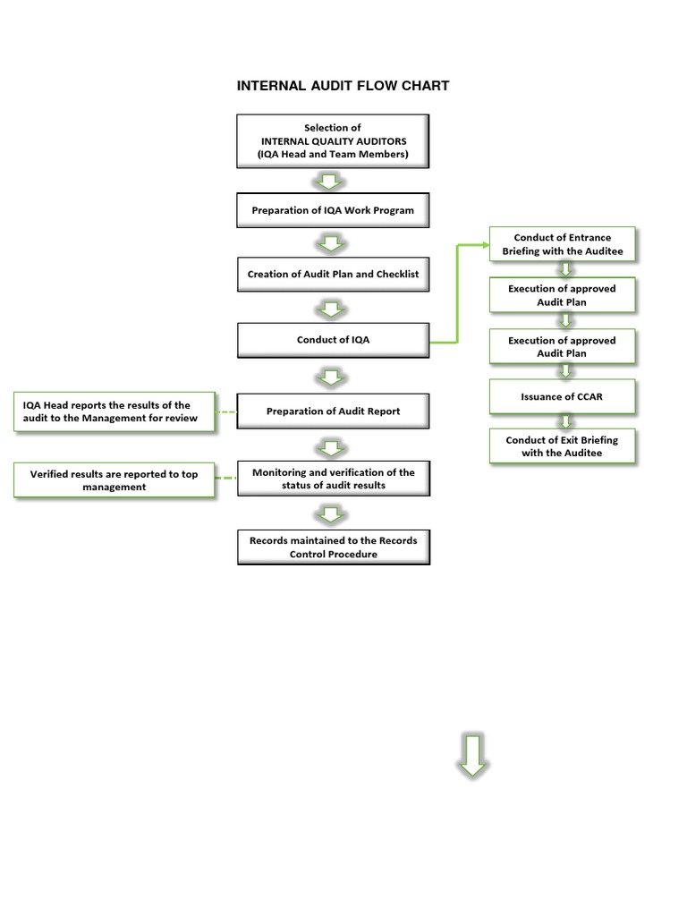 Internal Audit Procedure | PDF | Auditor's Report | Economic Sectors