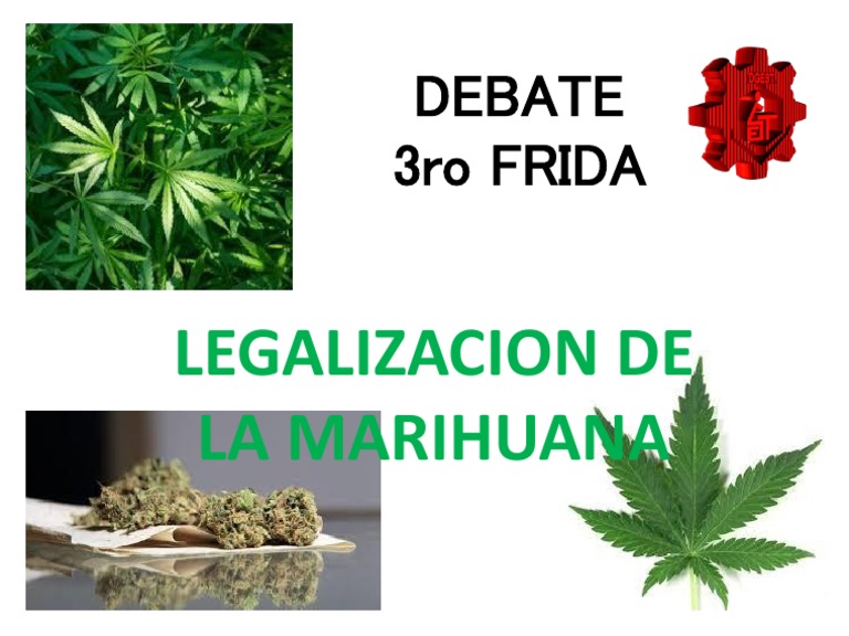 Arguments for and against the legalization of marijuana in the context ...