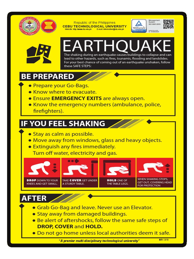 Earthquake Safe Steps | PDF