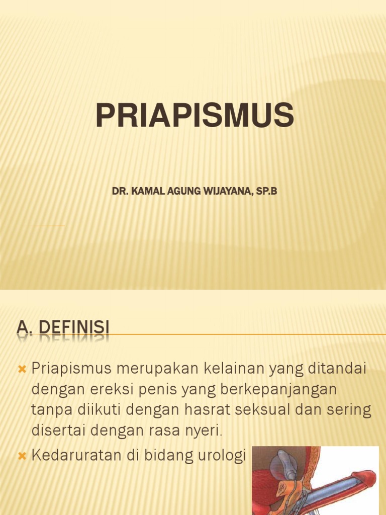 PPT PRIAPISMUS | PDF
