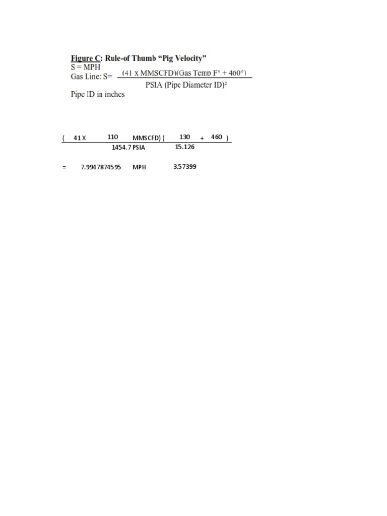 Pig Velocity (Tester) | PDF