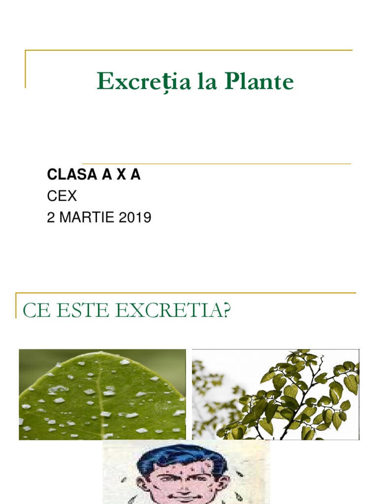 Excretia La Plante | PDF