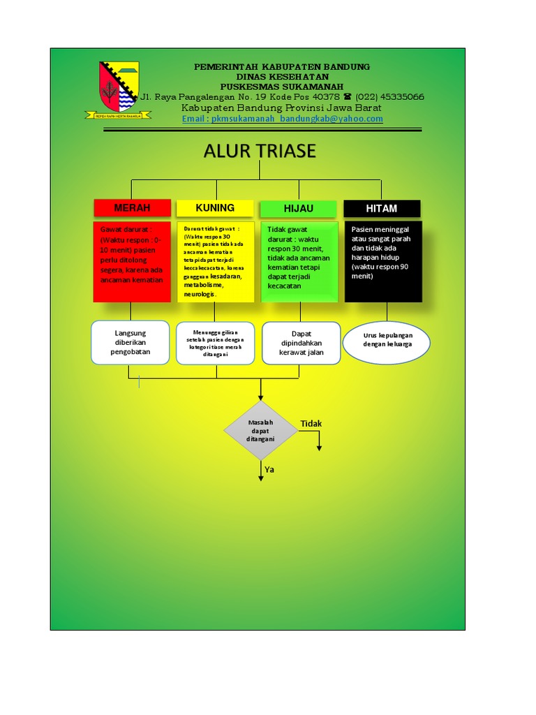 Alur Triase | PDF