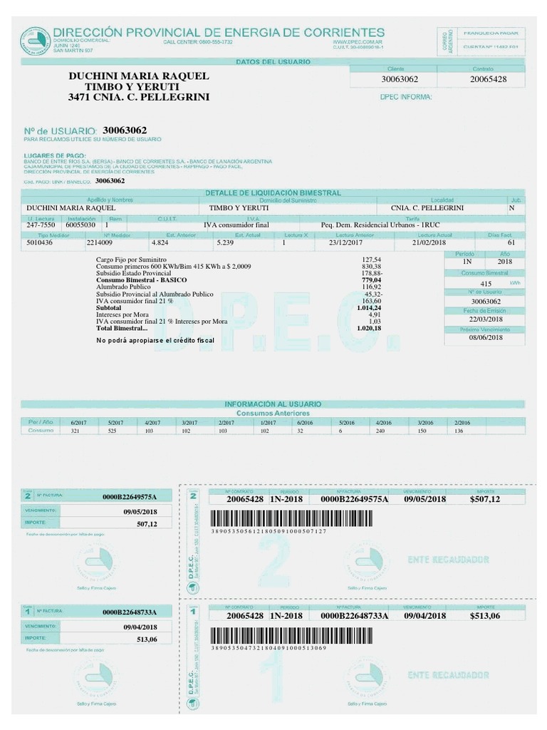 Factura Dpec | PDF | Naturaleza