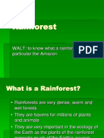 Ava'S - Amazon Rainforest Brochure | PDF | Amazon Rainforest | Trees
