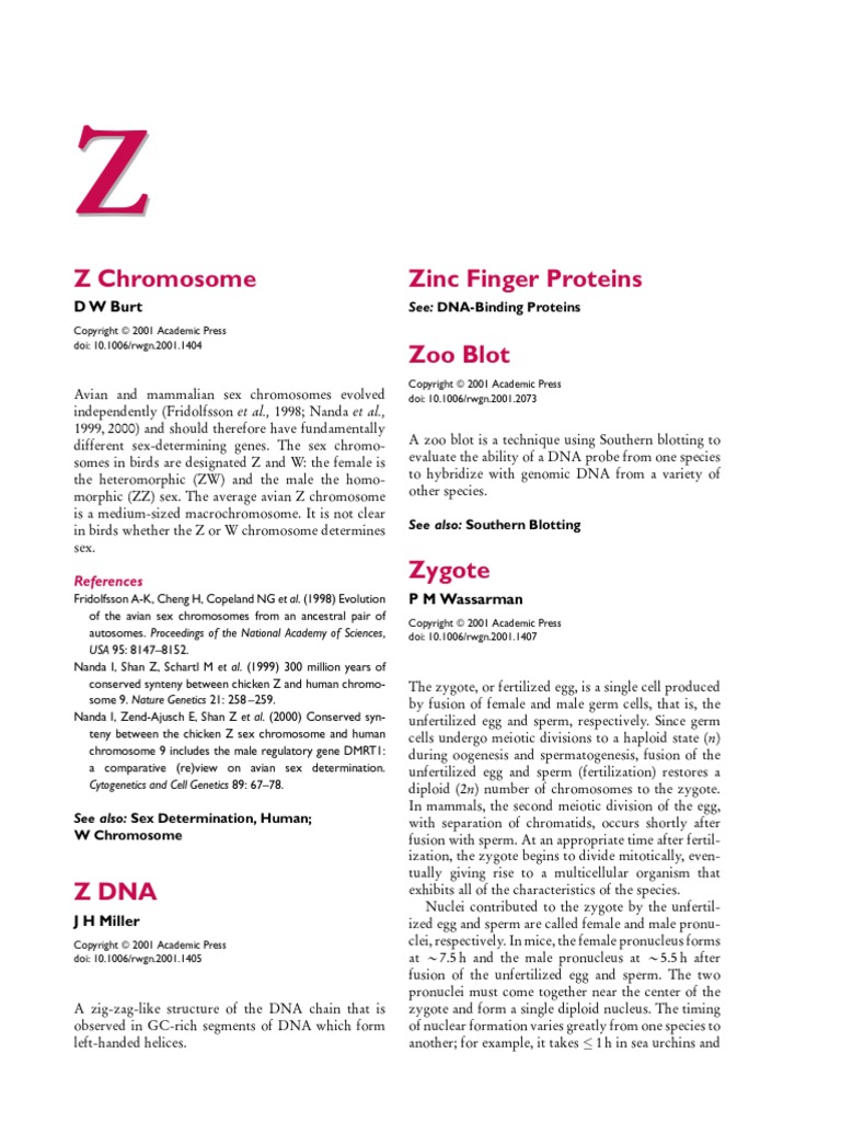Z Chromosome Zinc Finger Proteins Zoo Blot: Dwburt | PDF | Zygosity ...