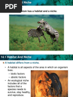 Biology 2021 Activity - Niches - Worksheet | PDF | Ecological Niche | Habitat