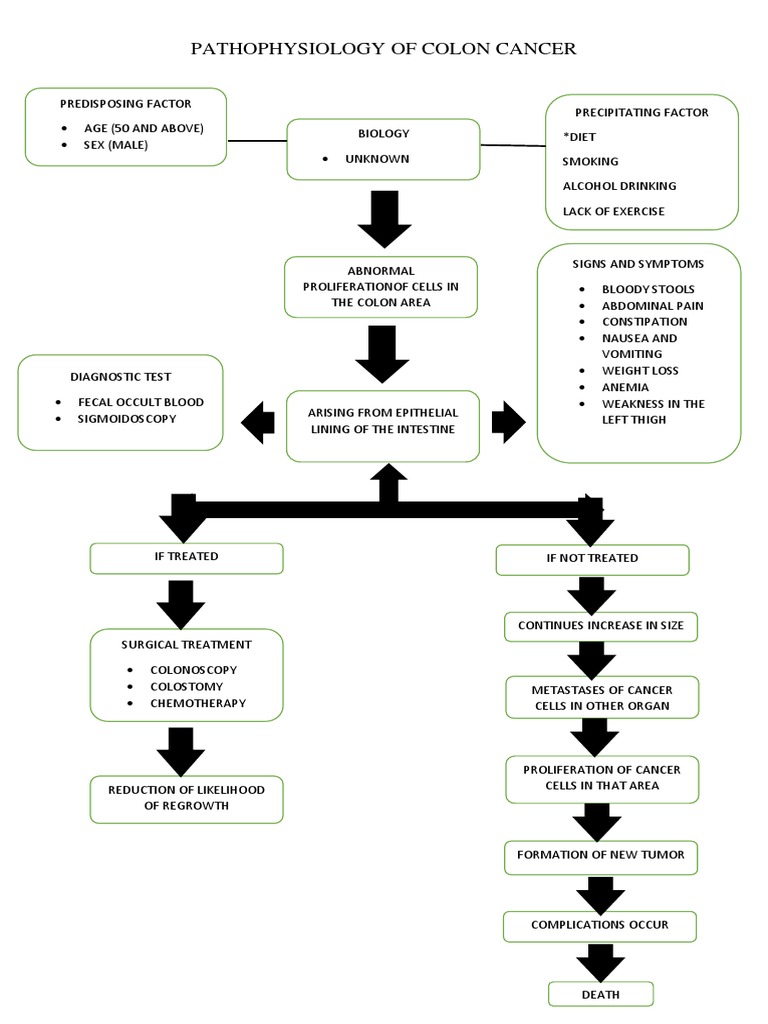Pathophysiology of Colon Cancer | PDF