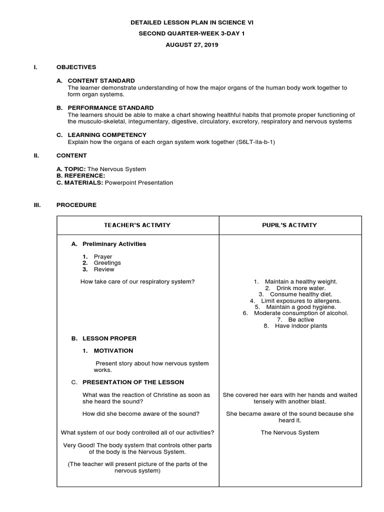 Grade 6 Nervous System Lesson Plan | PDF | Nerve | Axon