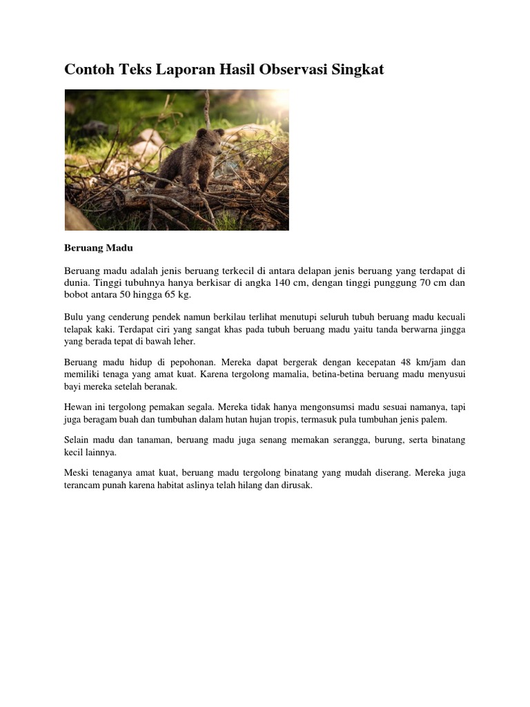 Contoh Teks Laporan Hasil Observasi Singkat | PDF