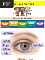 ELLN Digital Course Guide | PDF | Teachers | Literacy