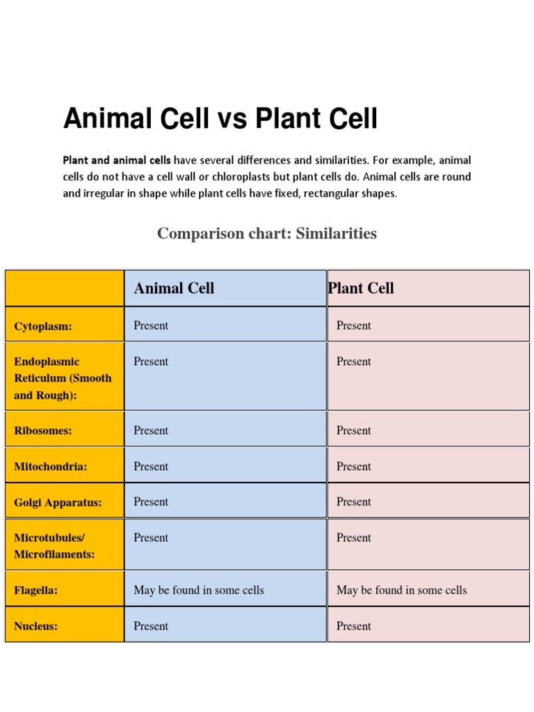 Animal Cell Vs Plant Cell: Comparison Chart: Similarities | PDF ...
