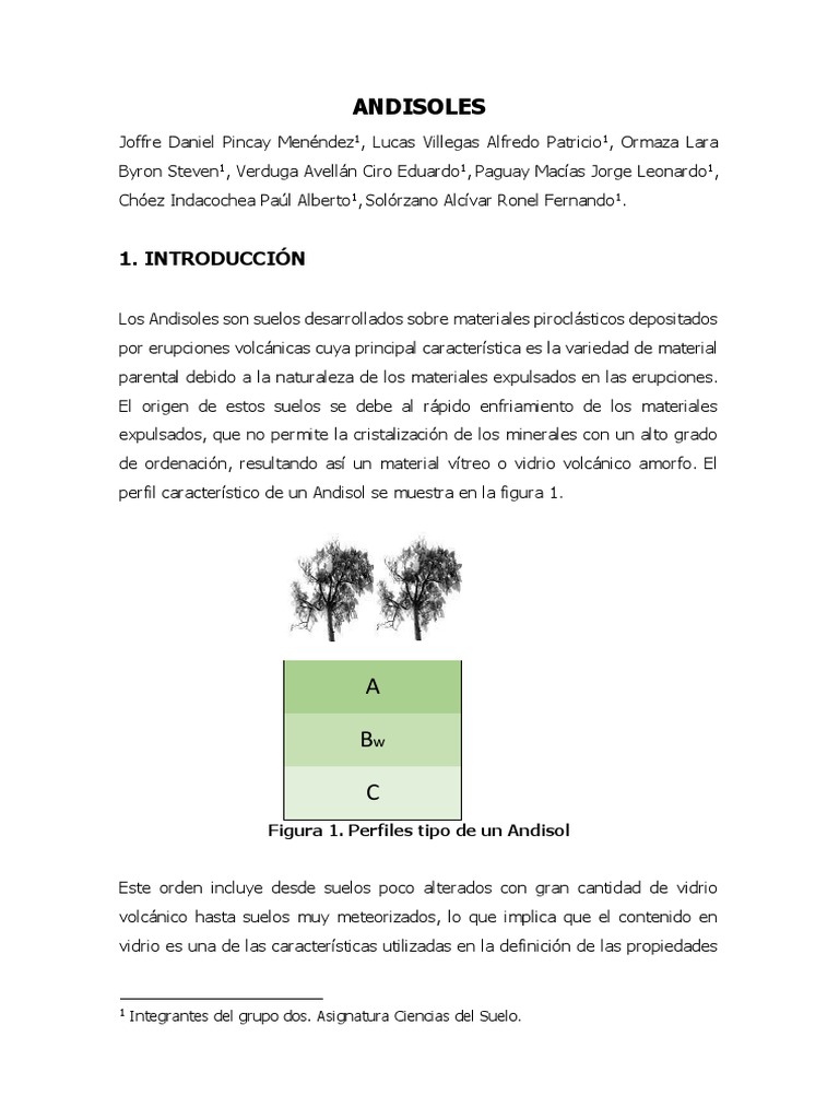 Andisol en El Ecuador | PDF | Meteorización | Suelo
