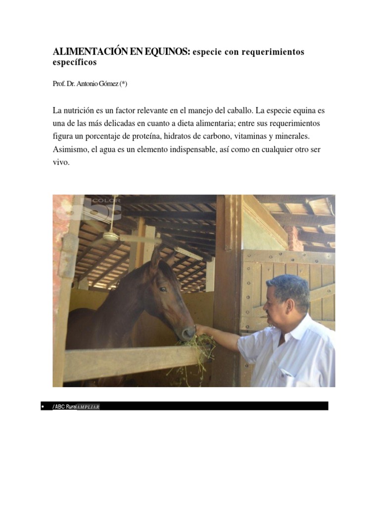 Nutrición Equina: Claves Esenciales | PDF | Proteínas | Alimentos