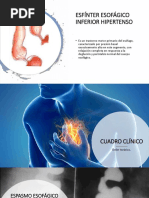 Irrigación Del Esofago | PDF | Tracto gastrointestinal | Estómago