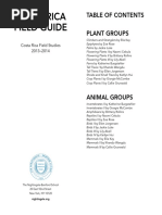Insect Collection Labeling Guide | PDF | Typefaces | Insects