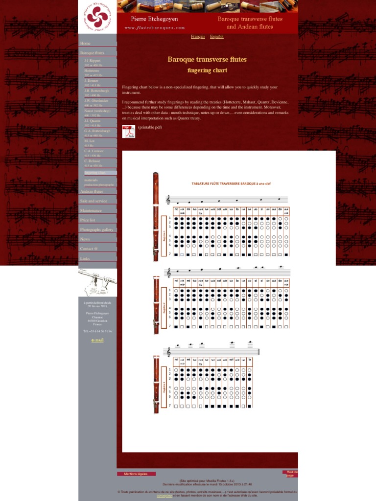 Baroque Transverse Flute and Andean Flute - Pierre Etchegoyen | PDF ...