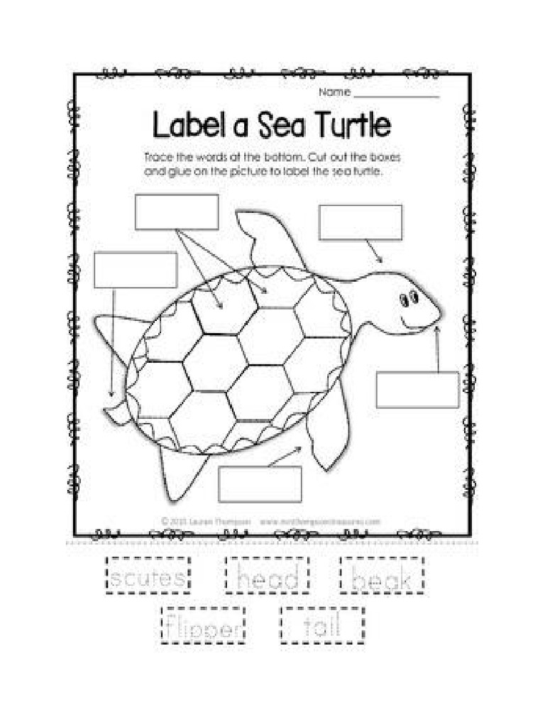 Label Sea Turtle | PDF