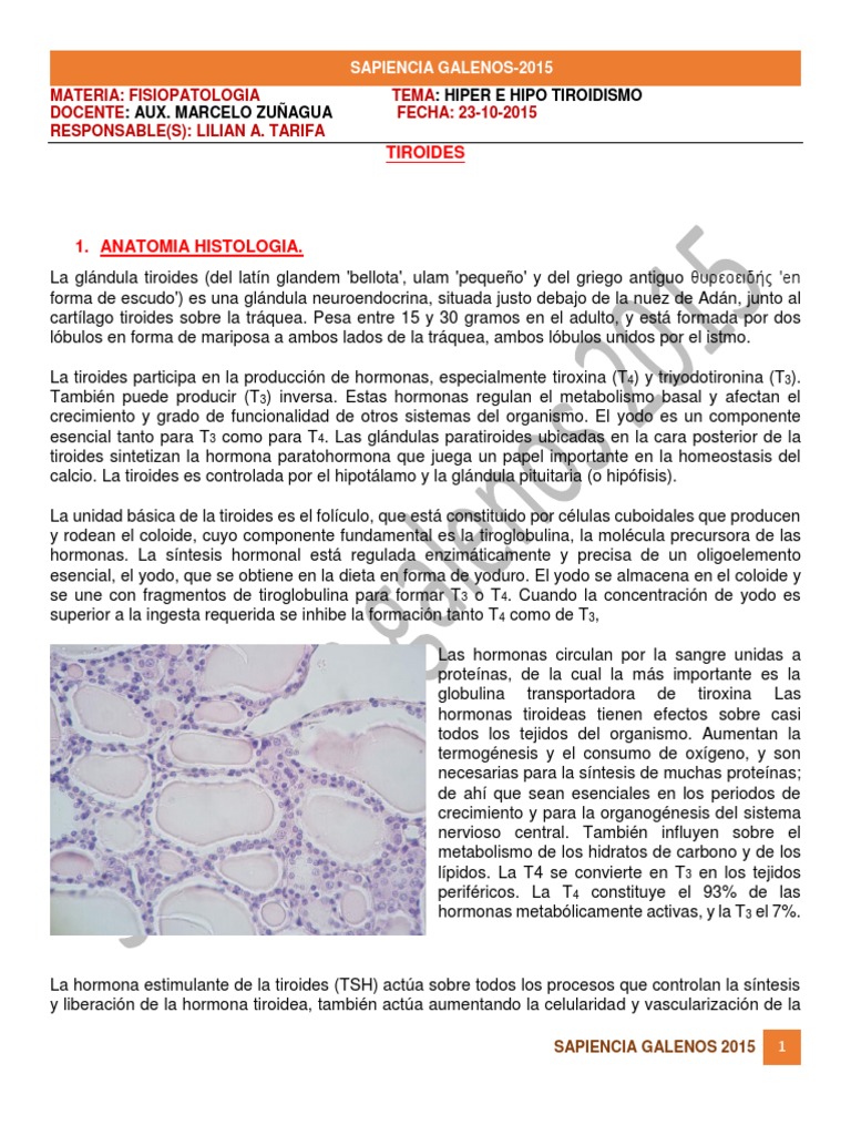 Tiroides | PDF | Tiroides | Hormona estimulante de la tiroides