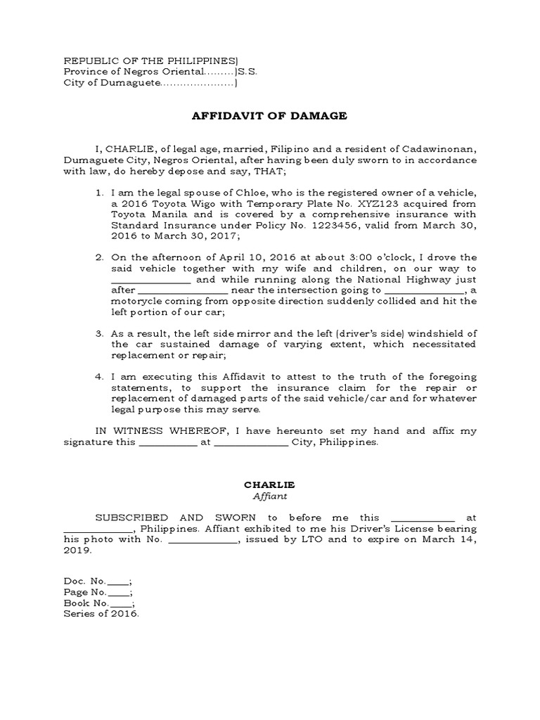 Affidavit of Damage: Charlie | PDF