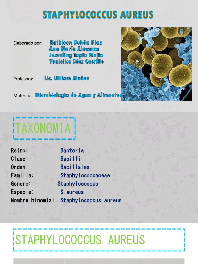 Staphylococcus Aureus | PDF | Staphylococcus Aureus | Microbiología