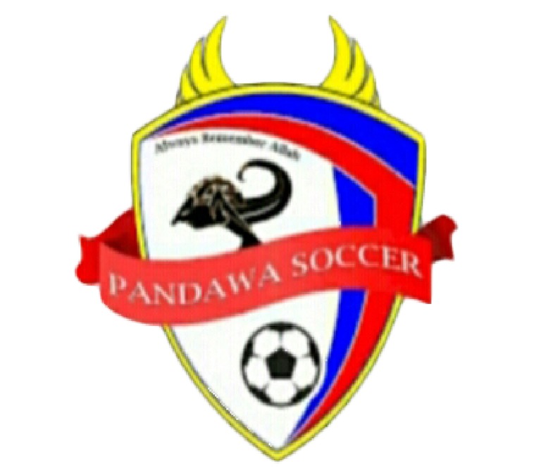 Pandawa Logo | PDF