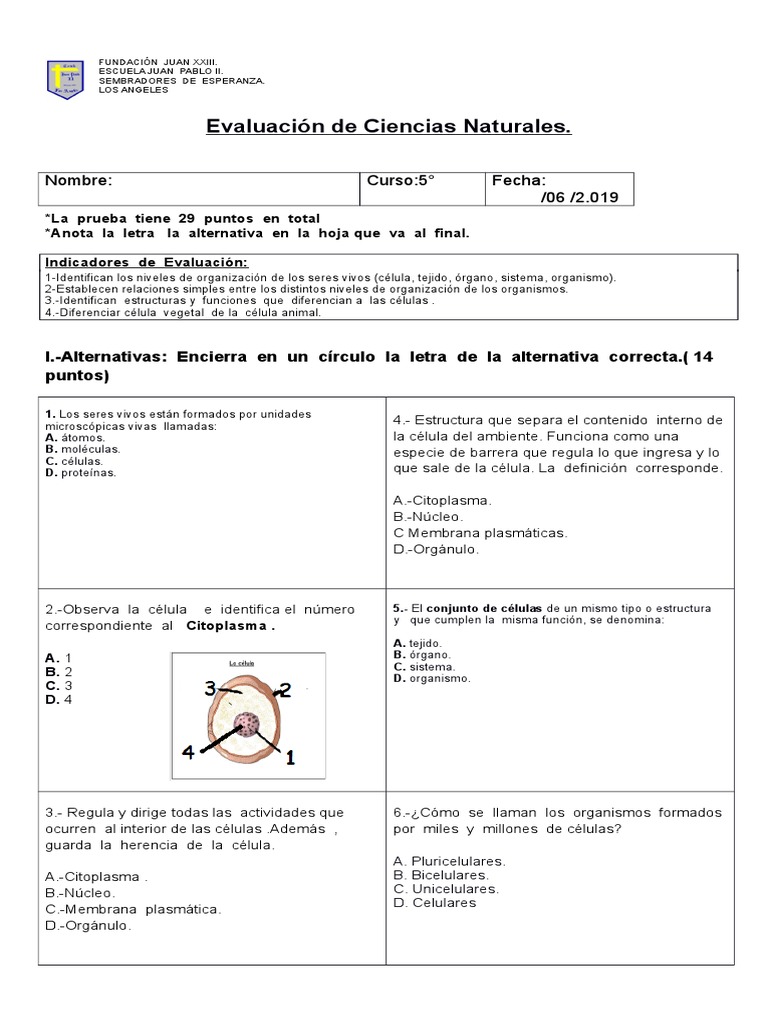 5°año Básico Prueba Ciencias Naturales - Tema Célula .2019 | PDF ...