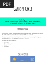 The Carbon Cycle | PDF | Carbon Sequestration | Climate Change
