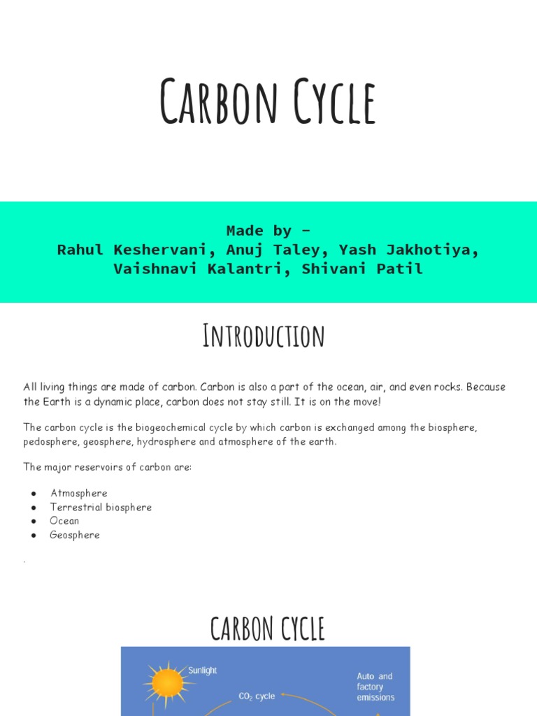 Carbon Cycle | PDF | Carbon Cycle | Greenhouse Gas