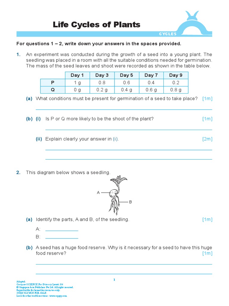 Life Cycles of Plants: For Questions 1 - 2, Write Down Your Answers in ...