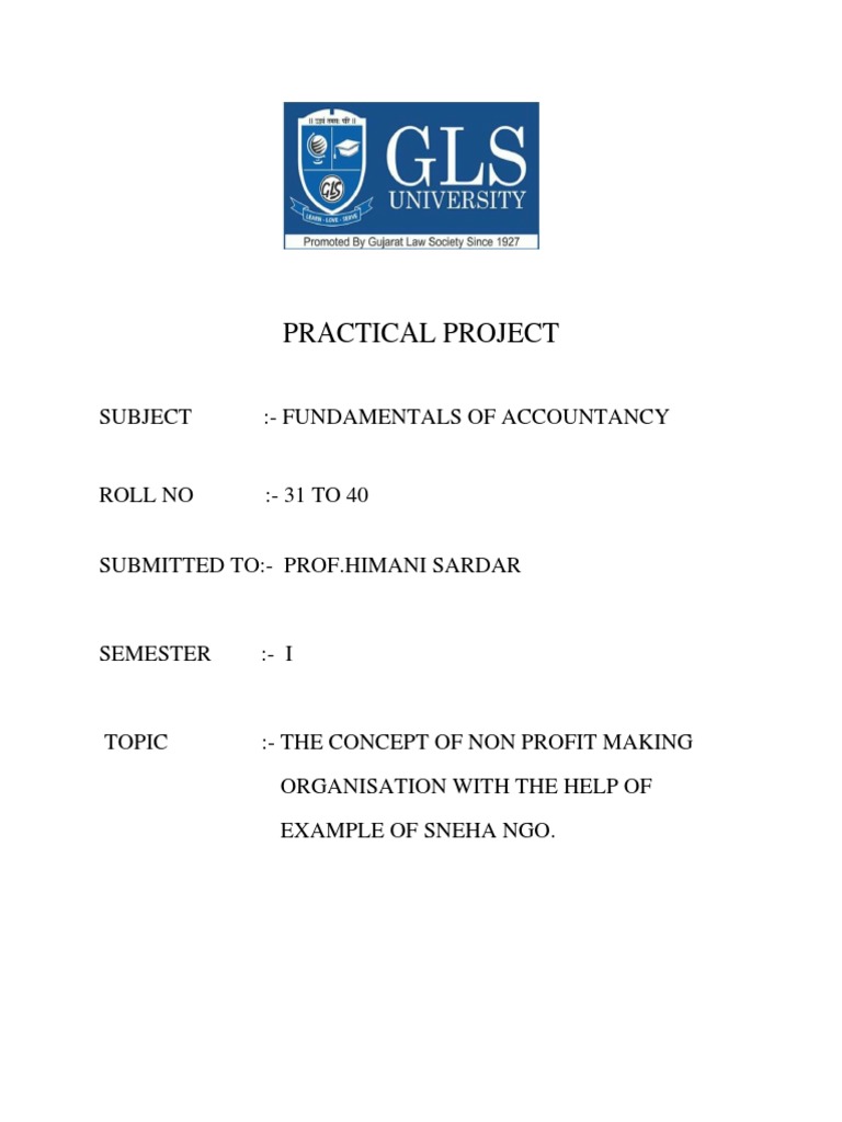 Accounting for a Non-Profit Organization: An Analysis of the Financial ...