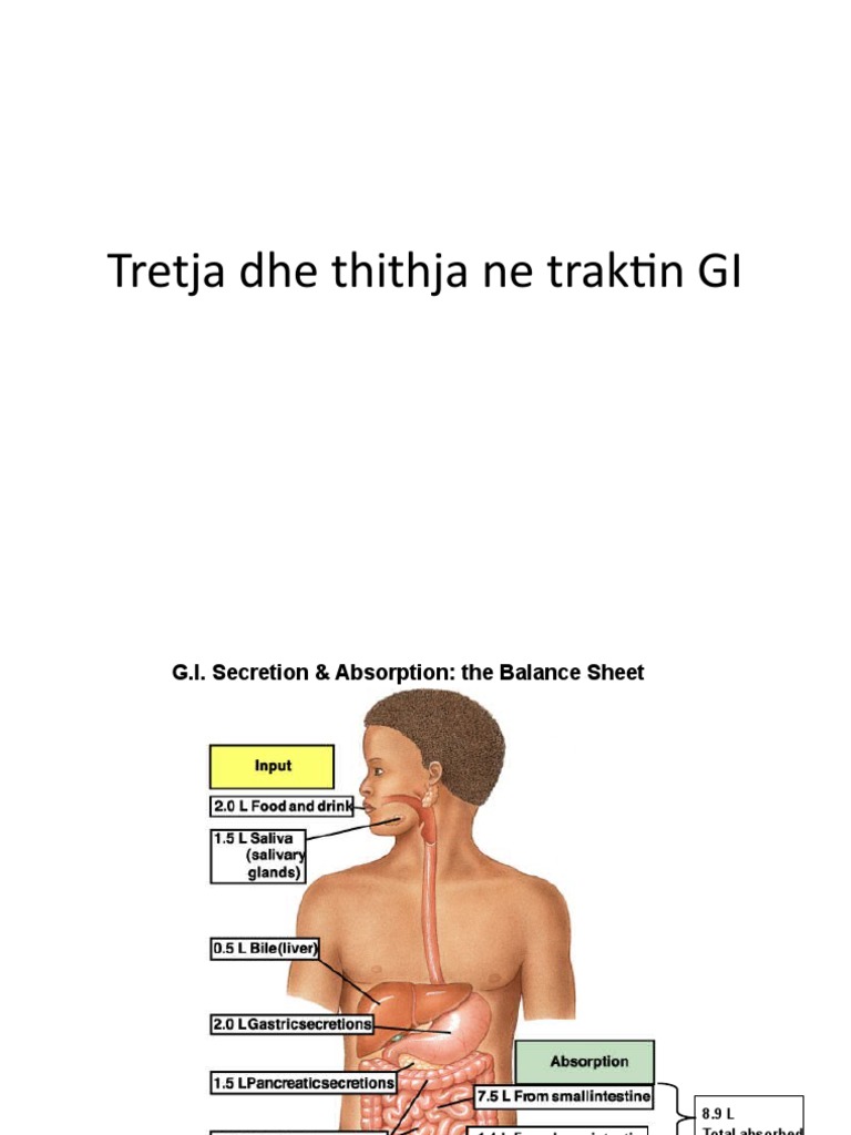 Tretja Dhe Thithja Ne Traktin GI | PDF