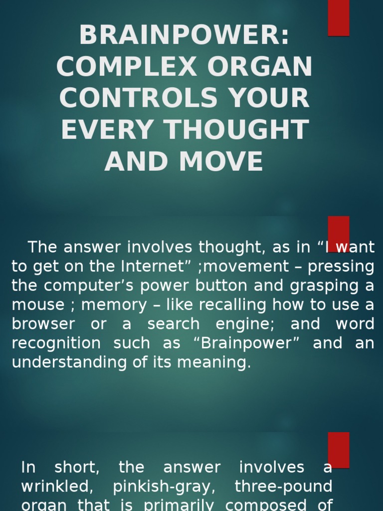 Brainpower: Complex Organ Controls Your Every Thought and Move ...