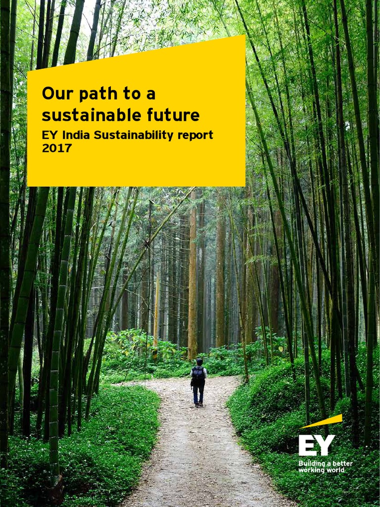 Ey India Sustainability Report 2017 | PDF | Sustainability ...