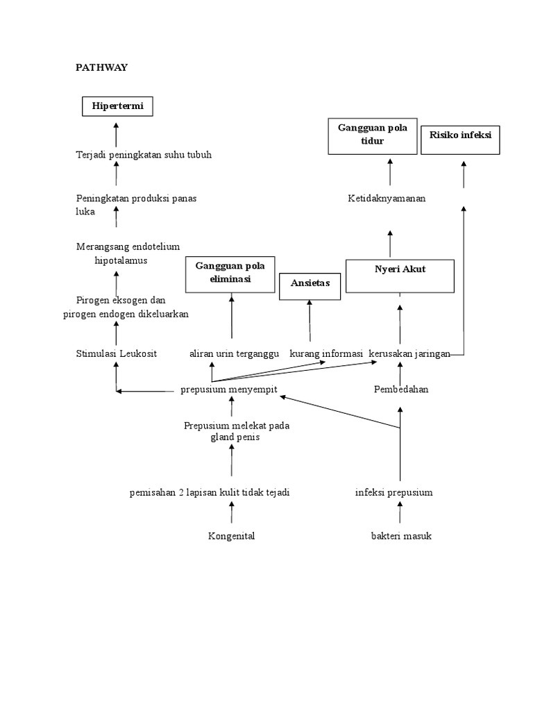 Pathway Hipertermi | PDF