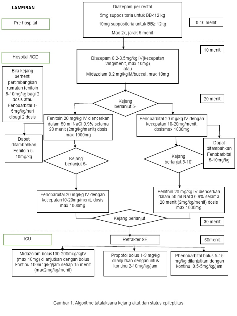 Lampiran 1 Tatalaksana Kejang Dan Status Epileptikus | PDF