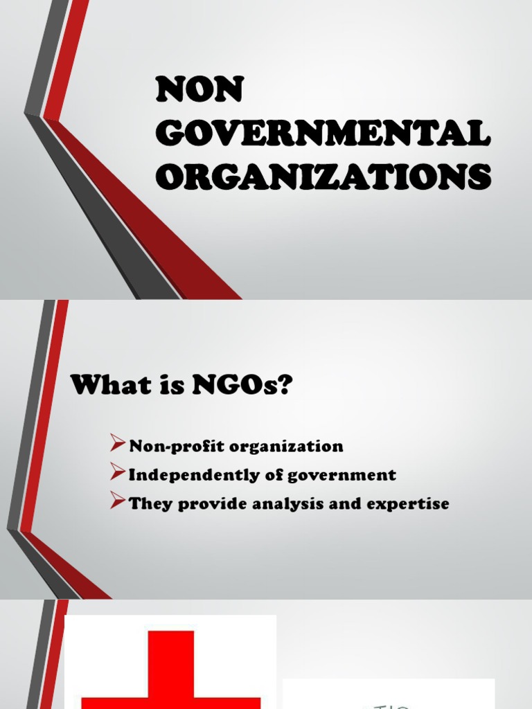 NON Governmental Organizations | PDF