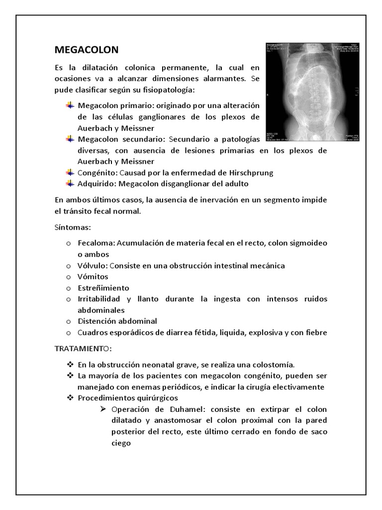 Mega Colon | PDF | Intestino grueso | Rtt