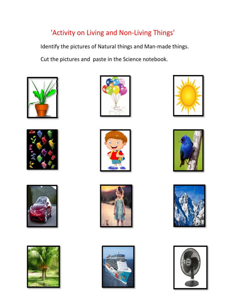 Science Activity Pdf Pdf